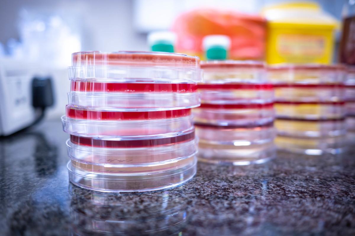 Our Governance | The MSF Foundation